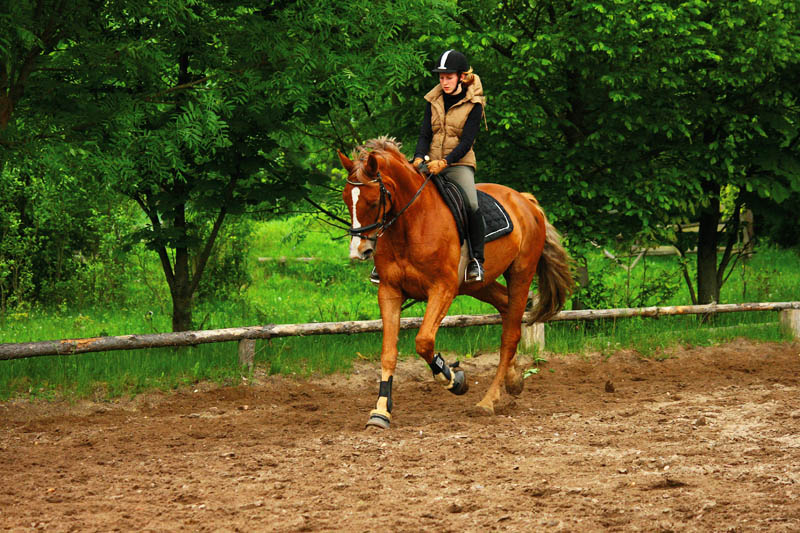 Reiter-Wochenende Reit Wochenende - Urlaub Reiterhof Lüneburger Heide